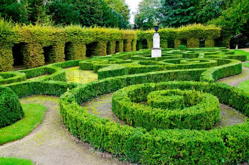 Beautiful maze garden in France | Stock image | Colourbox