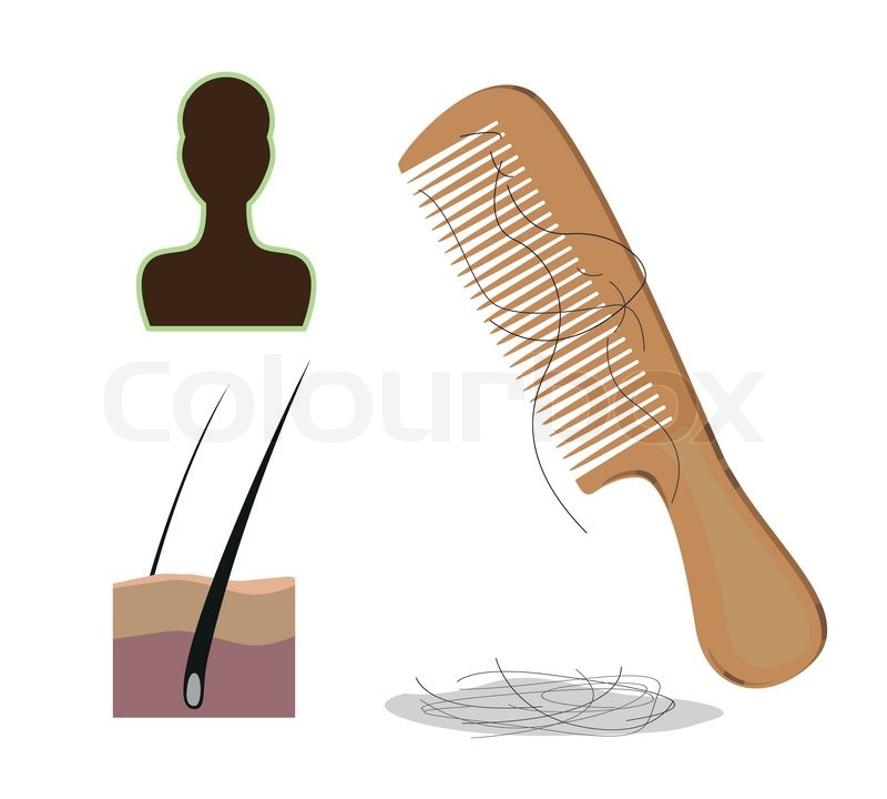 Hair loss | Stock Vector | Colourbox