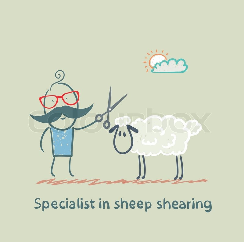 Specialist sheep shearing | Stock vector | Colourbox