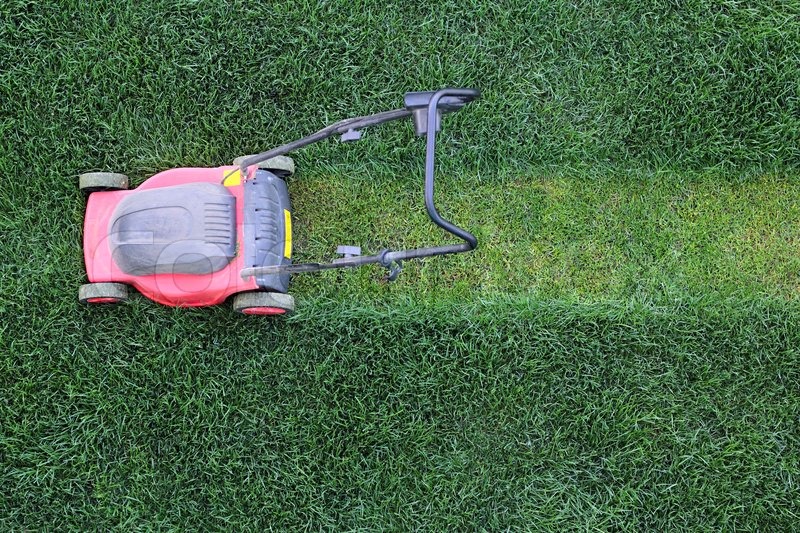 Grass cutter cuts the green lawn | Stock image | Colourbox