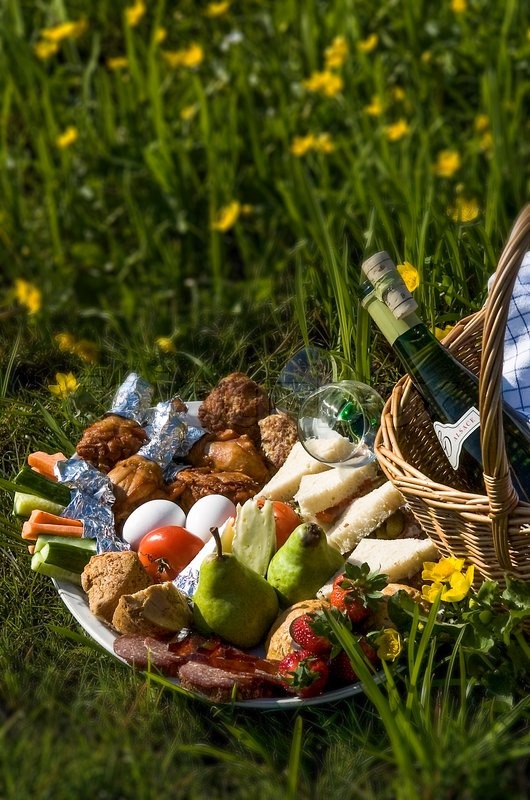 Lunch in the countryside. | Stock image | Colourbox