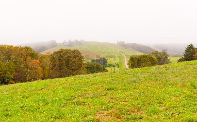 View of countryside in mountain valley ... | Stock image | Colourbox