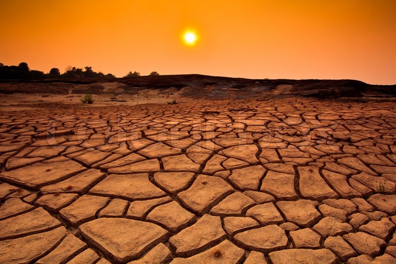 Cracked Desert Landscape