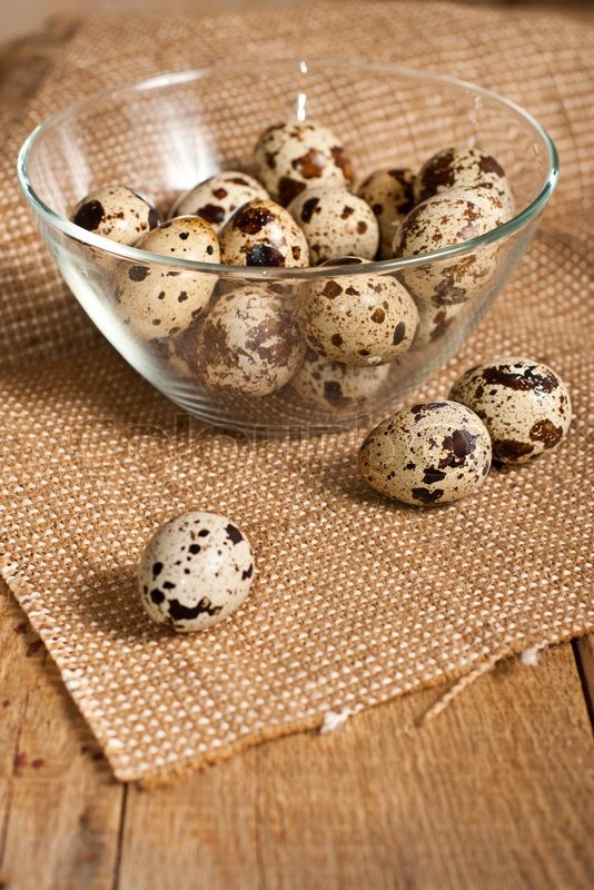 Wachteleier | Stock Bild | Colourbox