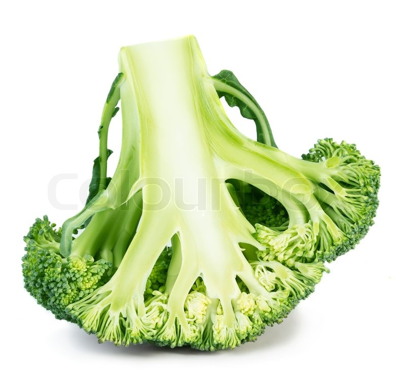 Half of broccoli isolated on white ... | Stock image | Colourbox
