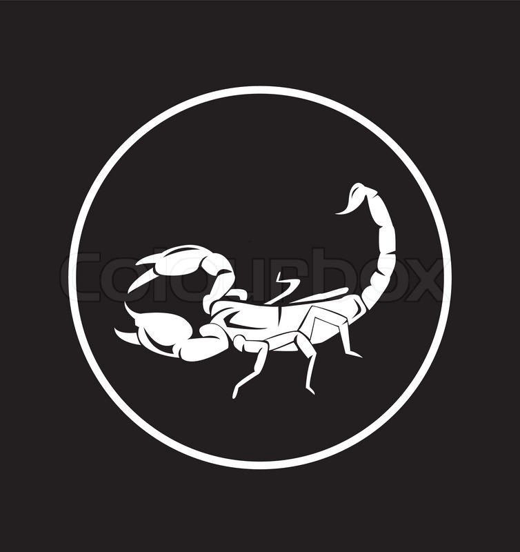 Scorpion | Stock vector | Colourbox