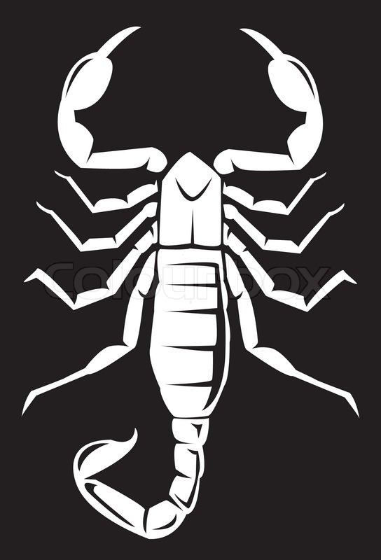 Scorpion | Stock vector | Colourbox