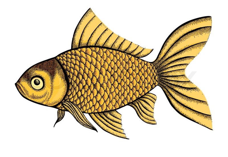 Figure fish painted in a graphic style ... | Stock vector | Colourbox