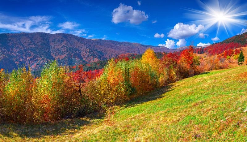 Colorful autumn panorama of the ... | Stock image | Colourbox
