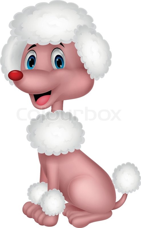 Vector illustration of Cute poodle ... | Stock vector | Colourbox