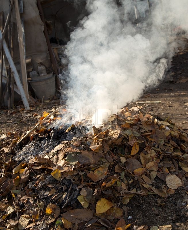 Smoke from burning leaves | Stock image | Colourbox