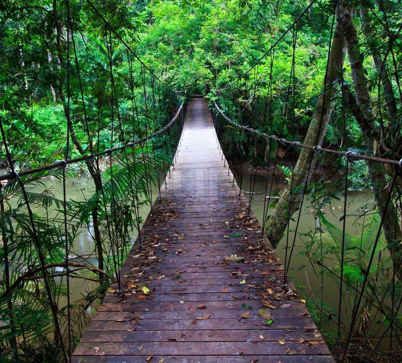 Wooden Bridge Over Water
