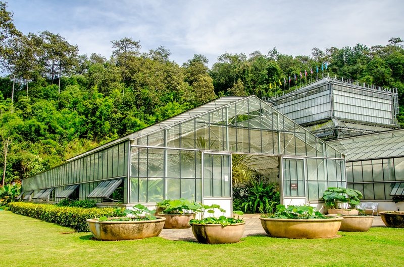 Green house | Stock image | Colourbox