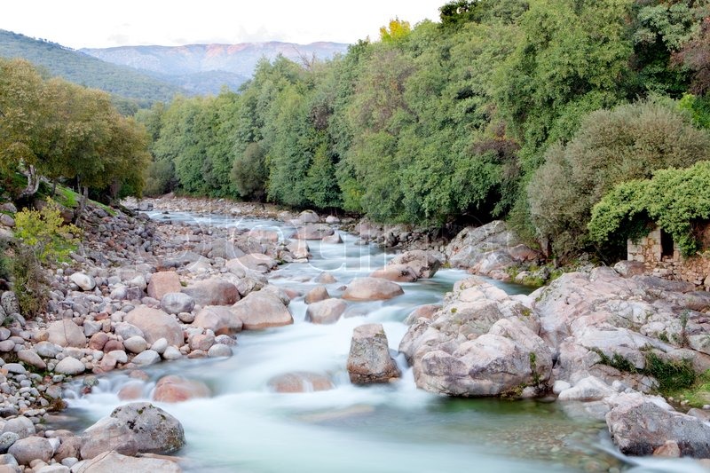 Nice river with clear water flowing ... | Stock Photo | Colourbox
