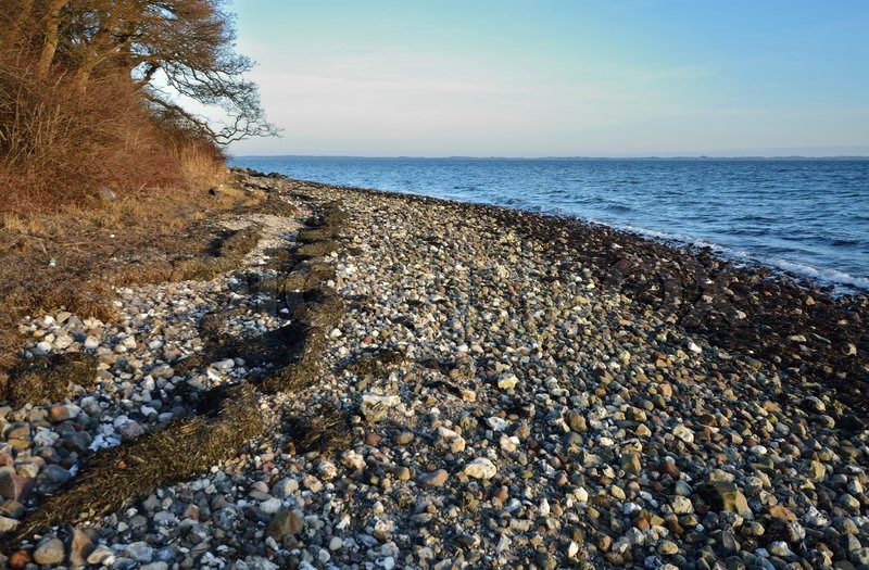 Sten på stranden ved Elsehoved på ... | Stock foto | Colourbox