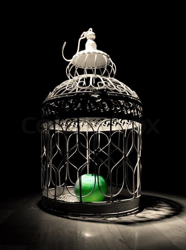 Apple in a cage and dark background | Stock image | Colourbox