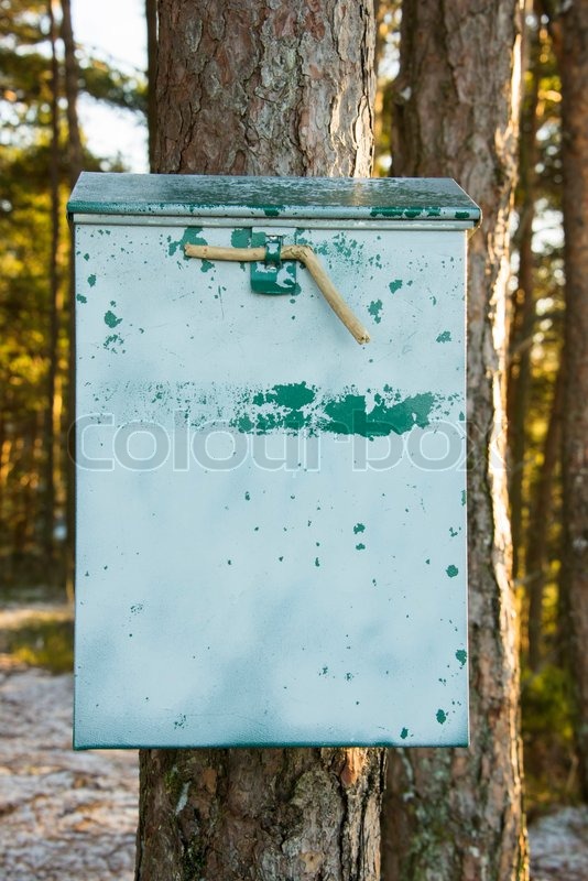 An old worn mailbox in the forest. ... | Stock image | Colourbox