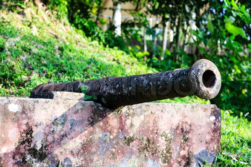 Old rusting cannon in the green garden | Stock Photo | Colourbox