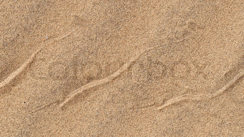 Sidewinding snake tracks across the ... | Stock image | Colourbox