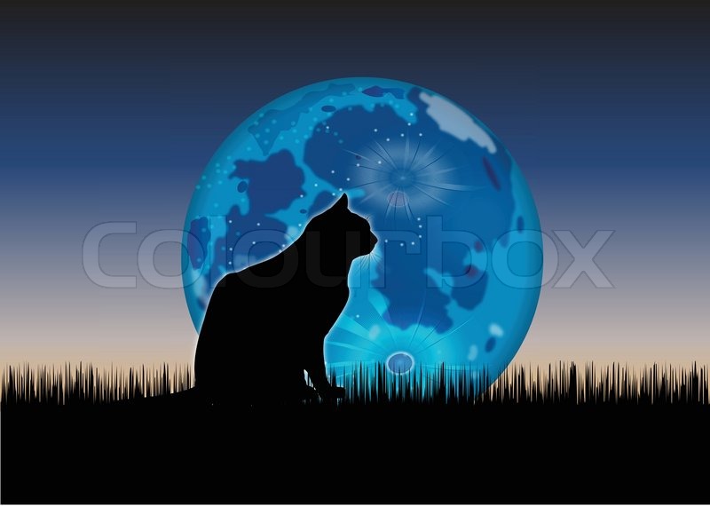CAT AND MOON | Stock vector | Colourbox