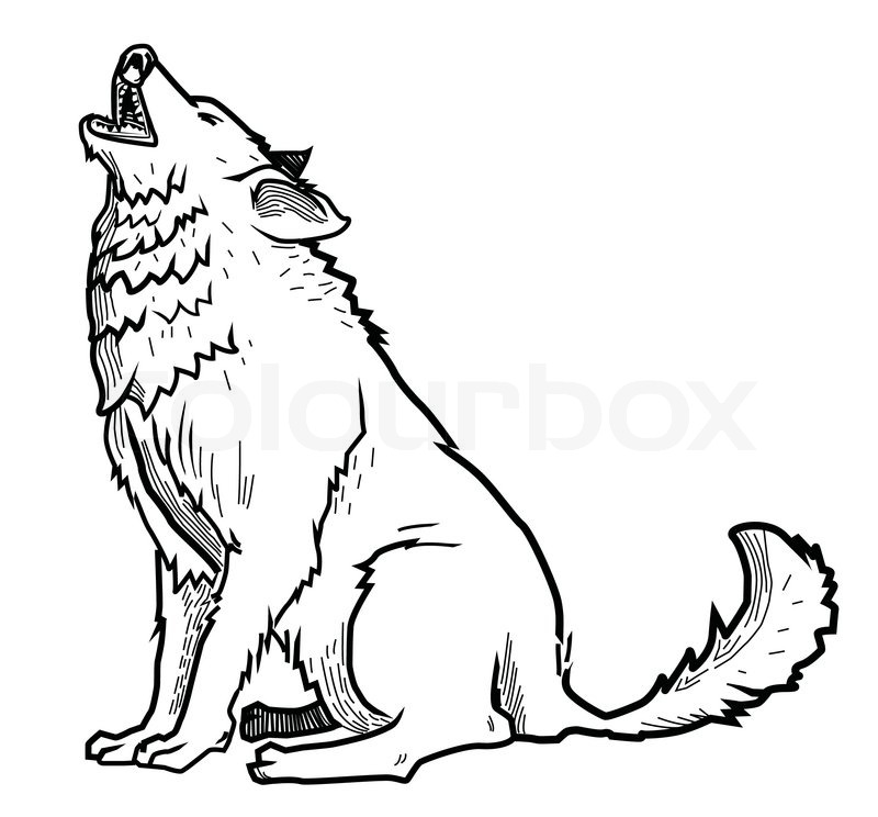 Wolf | Stock vector | Colourbox