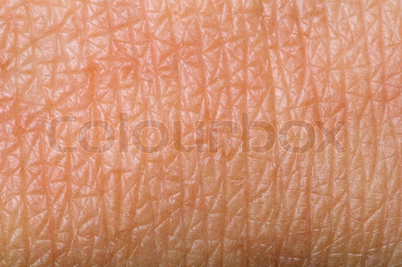Human skin close up. Structure of Skin | Stock image | Colourbox