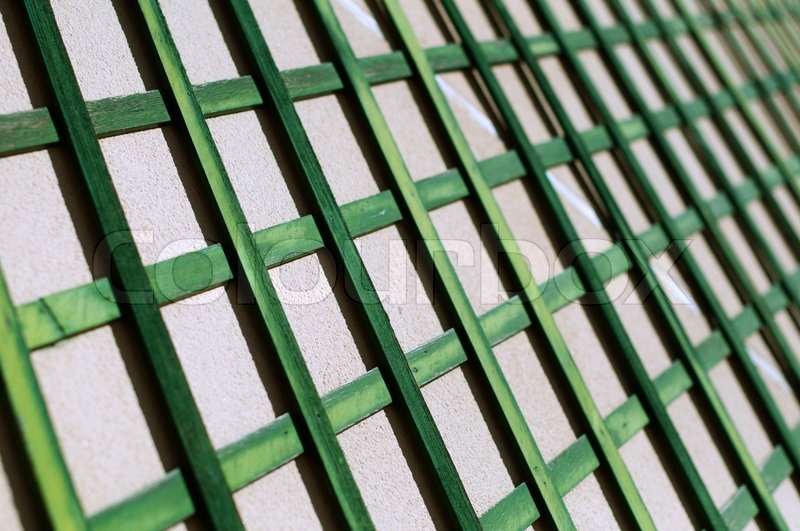 Green wooden lattice wall. | Stock image | Colourbox