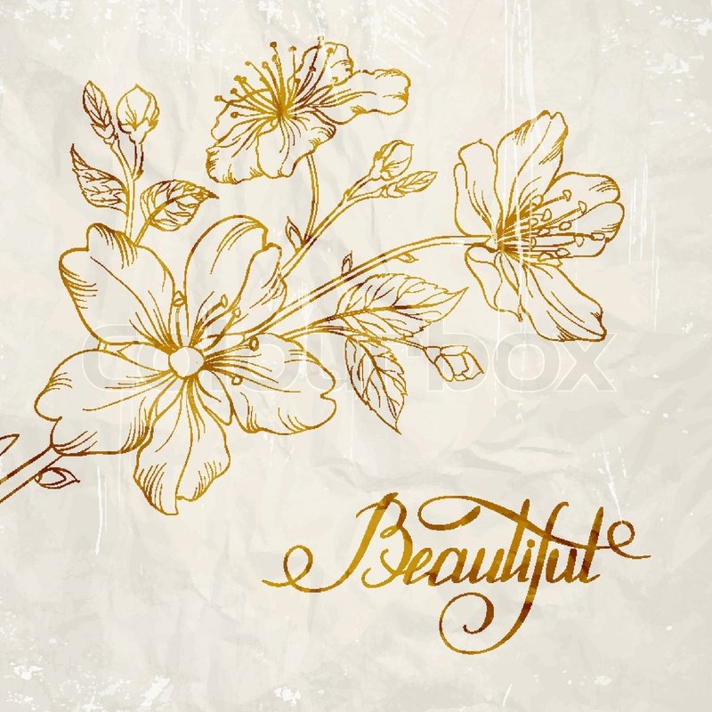 Calligraphy cherry blossom. Beautiful. ... | Stock vector | Colourbox