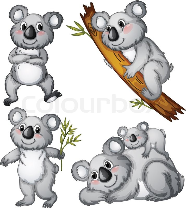 Illustration of a group of koalas on a ... | Stock vector | Colourbox