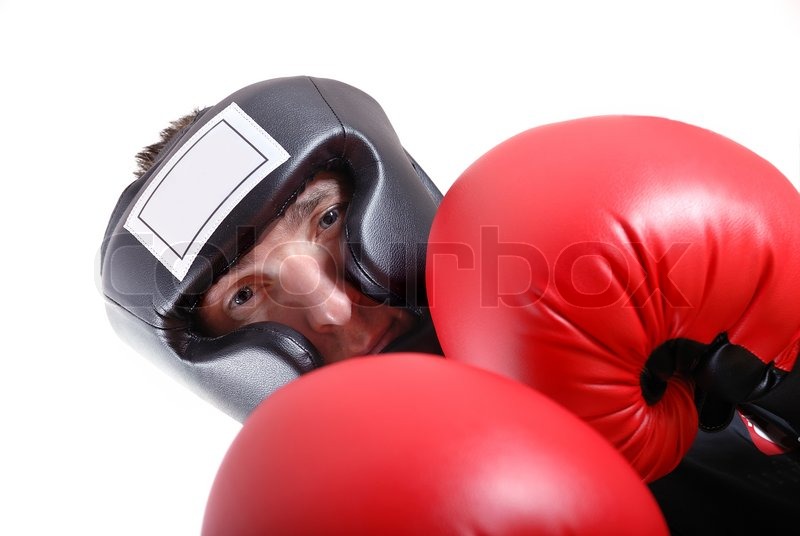 .boxer face closeup | Stock image | Colourbox