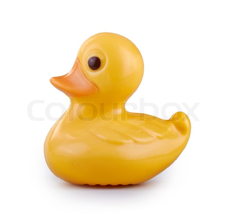 Cute yellow chocolate duck isolated ... | Stock image | Colourbox