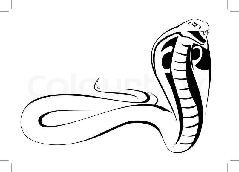 Cobra vector | Stock vector | Colourbox