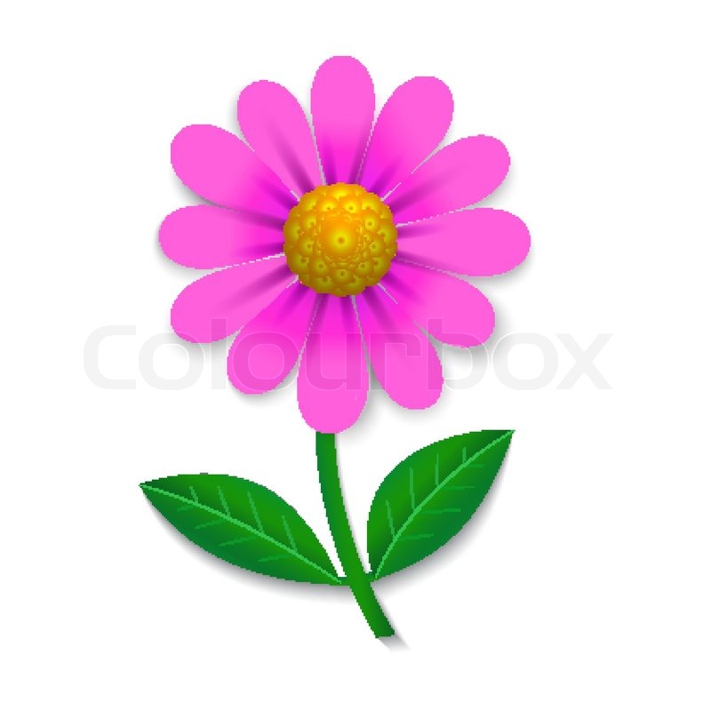 Rosa Blume | Stock-Vektor | Colourbox