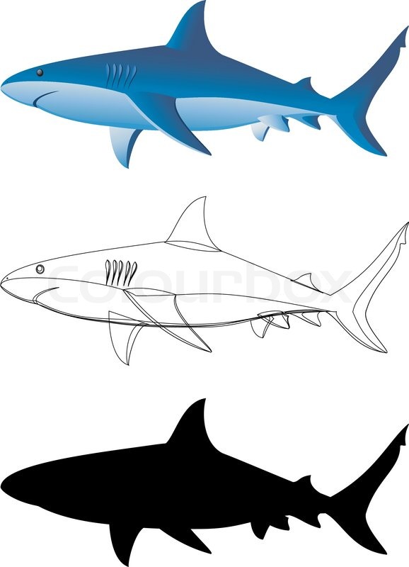 Haie | Stock-Vektor | Colourbox