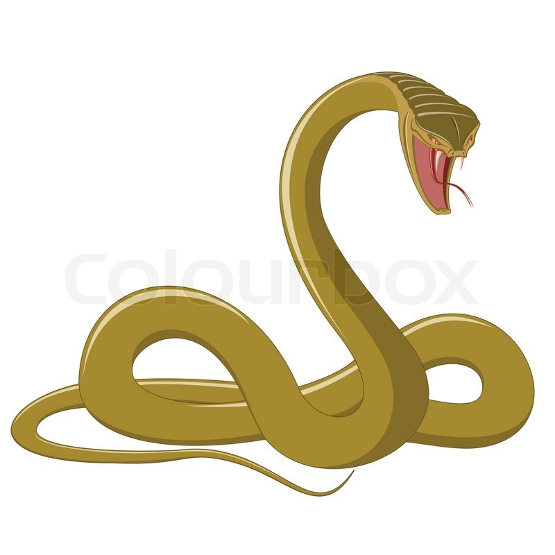 Angry snake - isolated on white | Stock vector | Colourbox