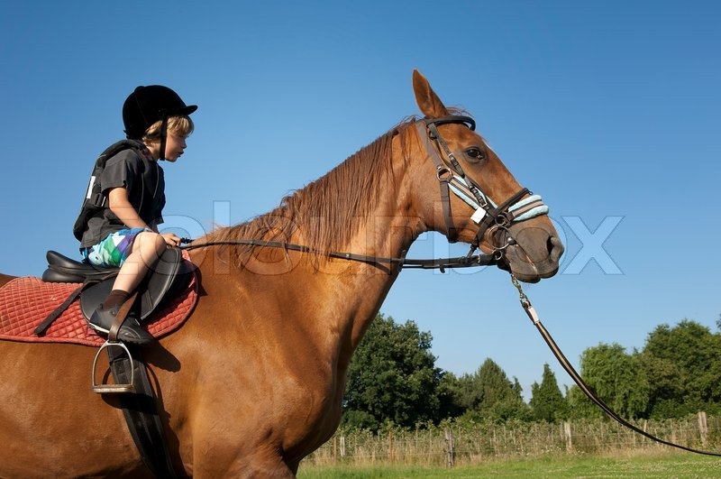 Young boy ride a horse | Stock image | Colourbox