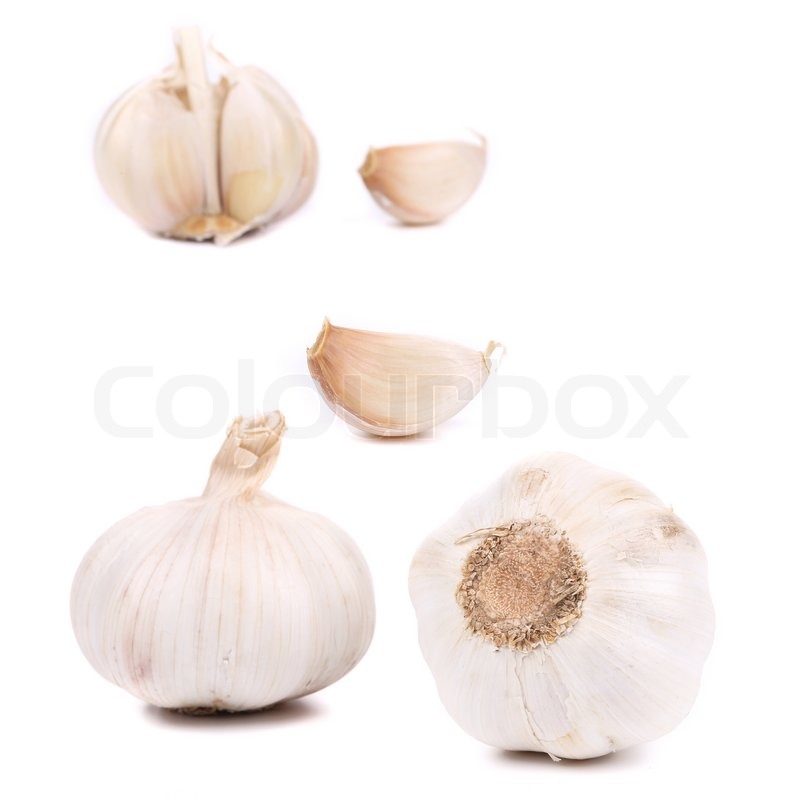Garlic set isolated. Isolated on a ... | Stock image | Colourbox