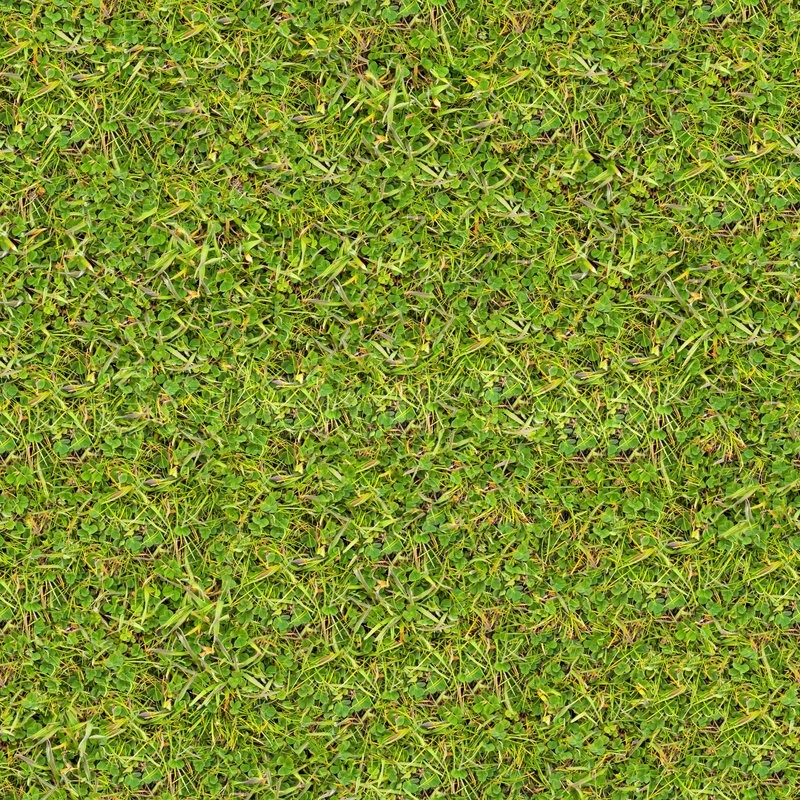 Prairie Grass Texture