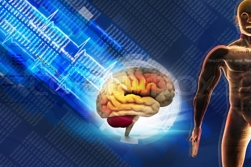 Human brain in abstract medical ... | Stock image | Colourbox