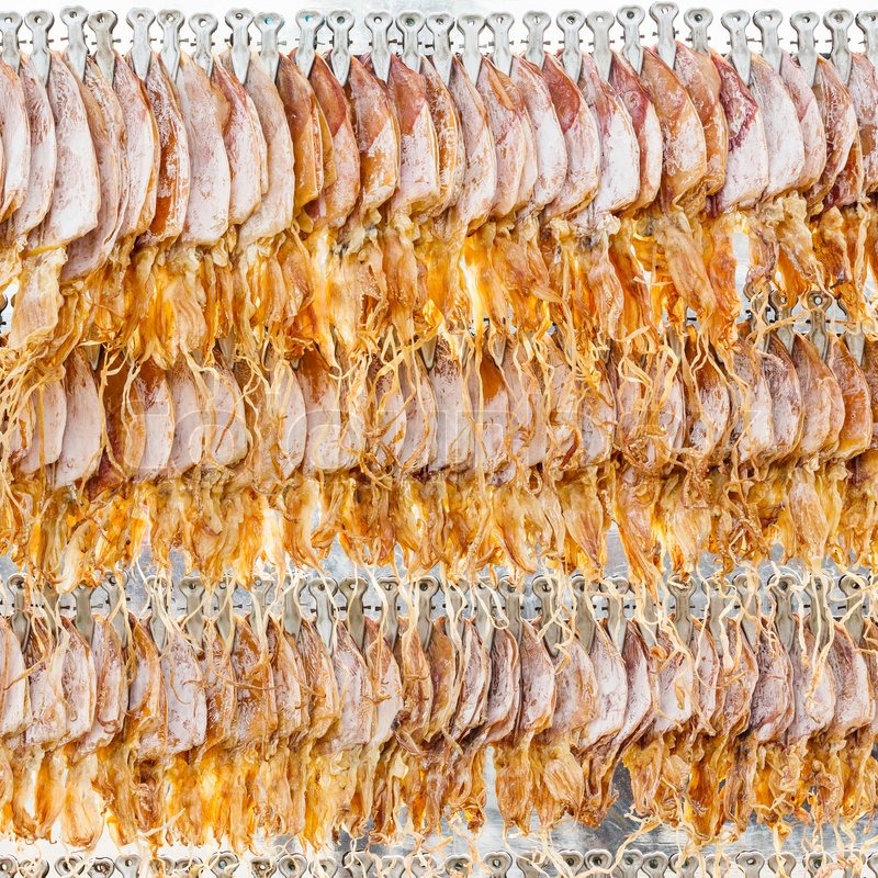 Close up dried squid hanging in row ... | Stock image | Colourbox