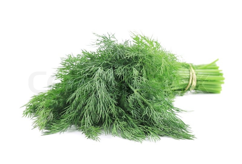 Bunch of dill. Isolated on a white ... | Stock image | Colourbox