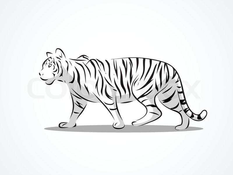 Image graphic style of tiger walk ... | Stock vector | Colourbox
