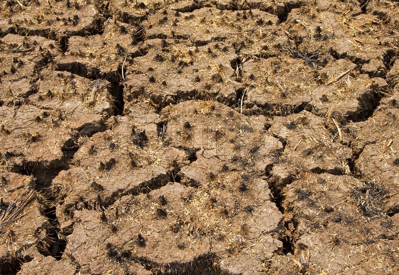 Kargen Boden | Stock Bild | Colourbox