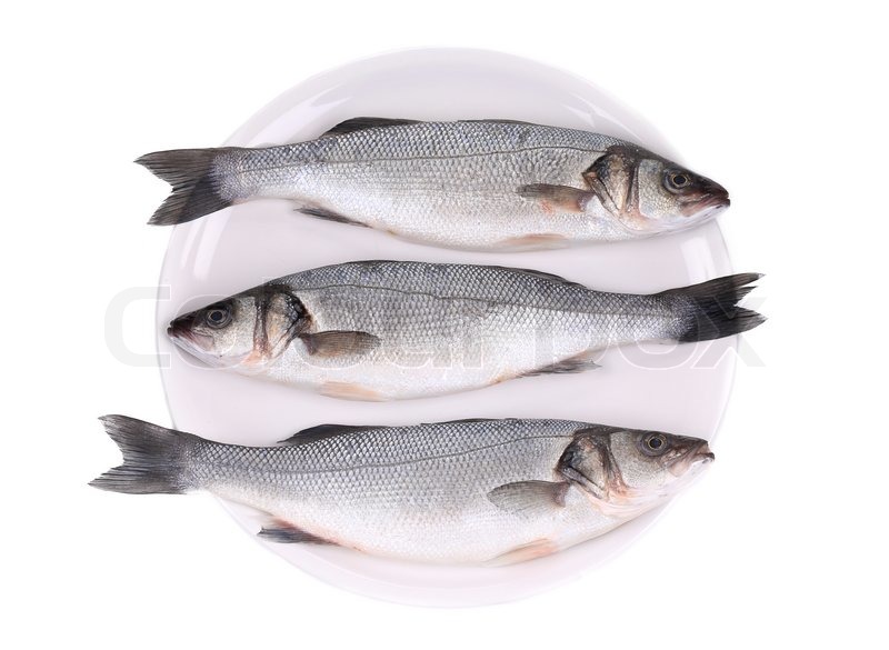 Three fresh seabass fish on plate. ... | Stock image | Colourbox
