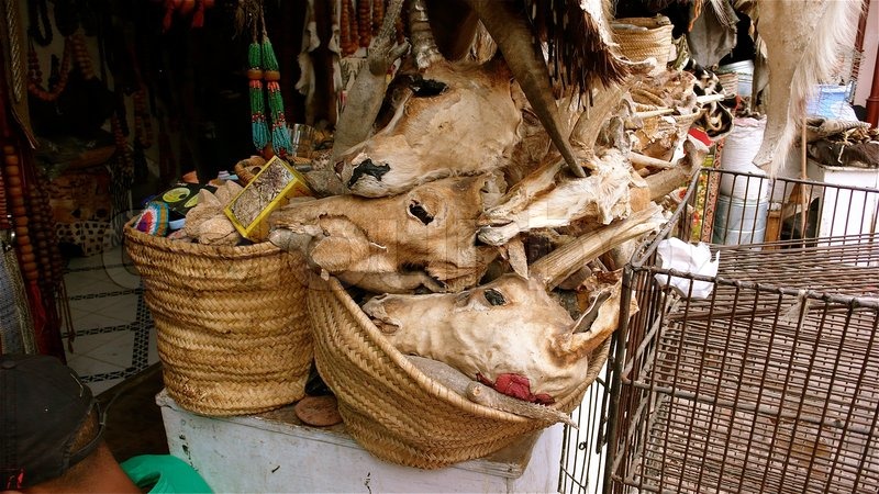Heads of dead animal lying for display ... | Stock image | Colourbox