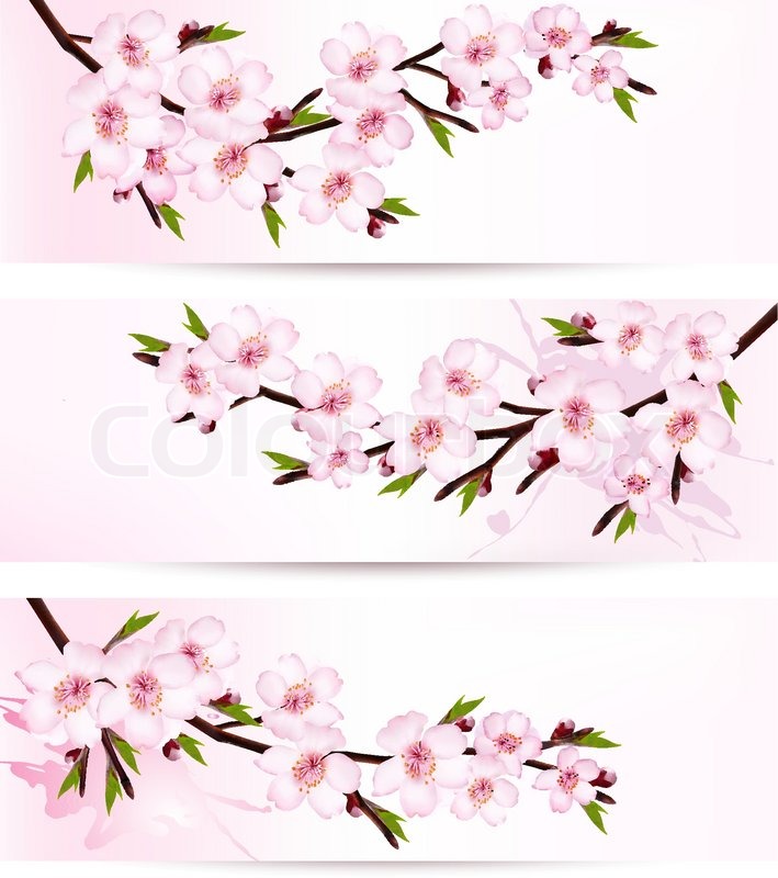 Three sakura branch banners. Vector. | Stock vector | Colourbox