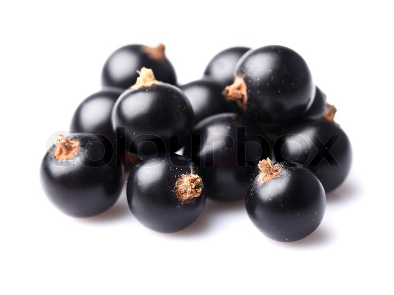 Blackcurrant in closeup | Stock image | Colourbox