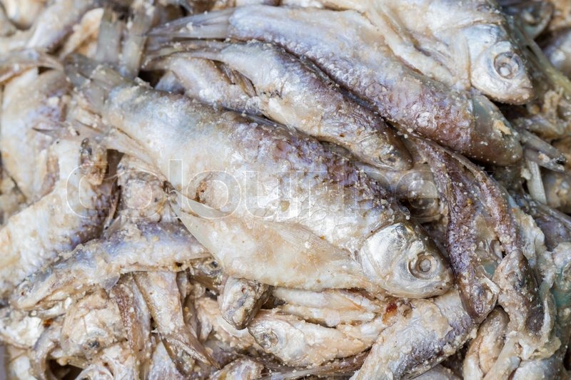 Fermented Fish