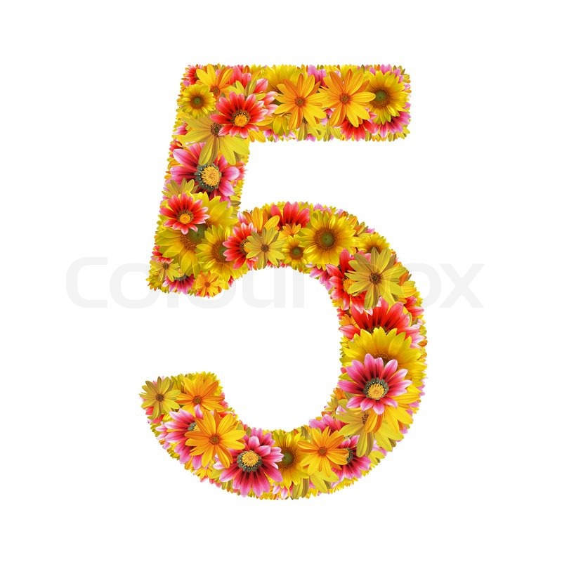 Number 5 created of flowers isolated on ... | Stock image | Colourbox