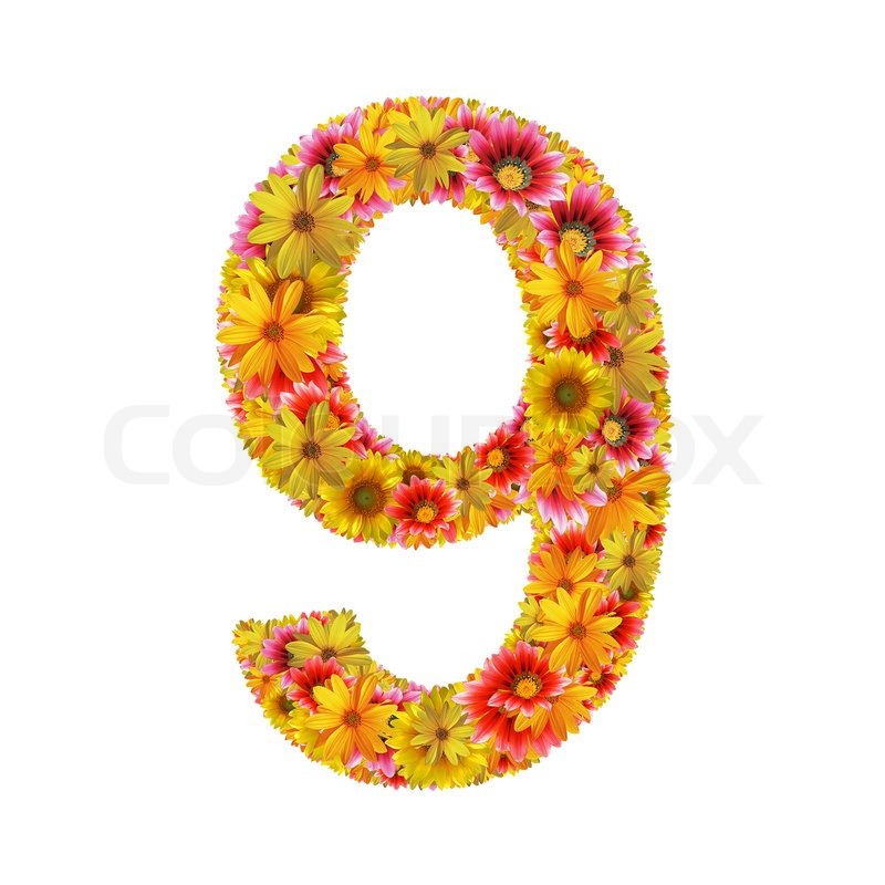 Number 9 created of flowers isolated on ... | Stock image | Colourbox